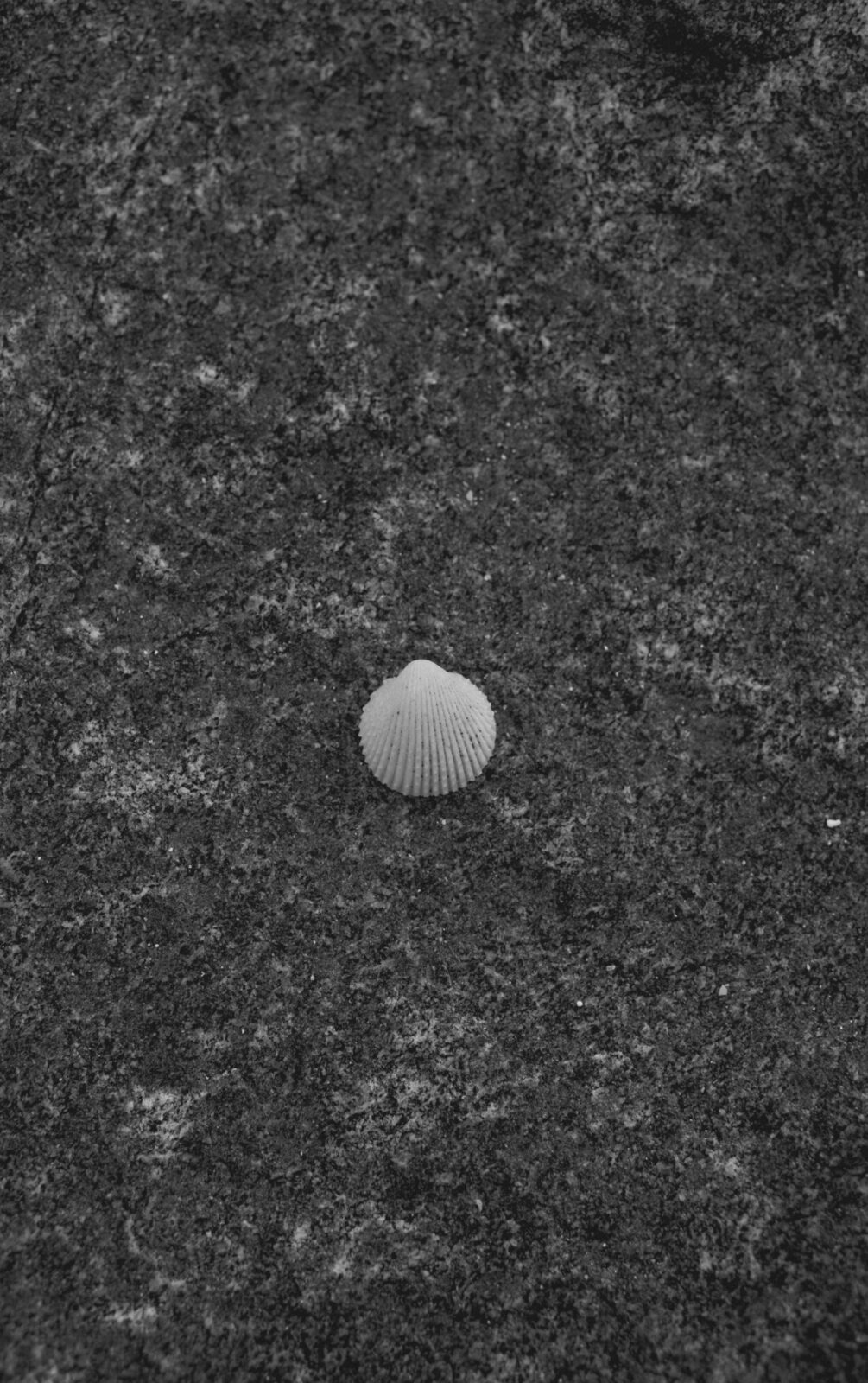 Trust: The Second Pillar Of The Practice Framework - Hilary Pearlson